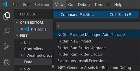 Pubu Blog How To Create A Web API Core And Entity Framework Core Project In Visual Studio Code