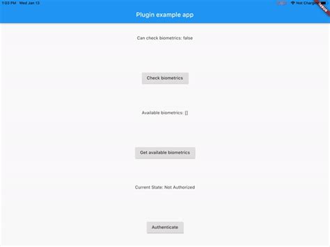Localauth Ios App Crashes After 5 32 Invalid Input Attempts · Issue 47465 · Flutter