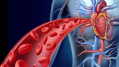Цусны бүтцийг сайжруулах Эмийн ургамал судлалын төв