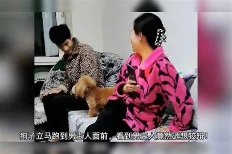 当护女主的小奶狗，遇上最狗男主人，立马戏精附体！小奶附体
