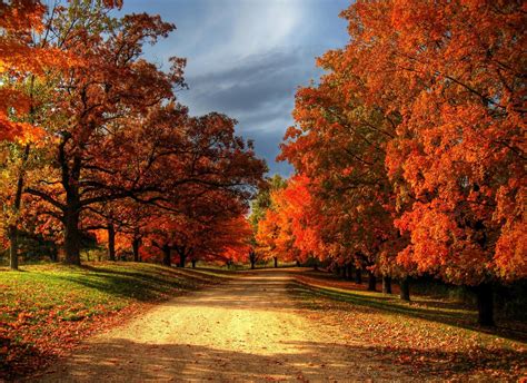 Brace Yourselves Fall Is Coming