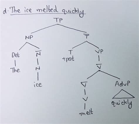 Solved Adhering To The X Bar Schema Draw Phrase Structure Trees For The Course Hero