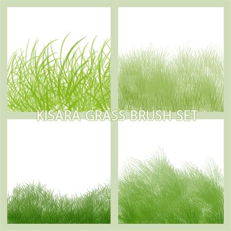 Grass Photoshop Free Brushes 123freebrushes