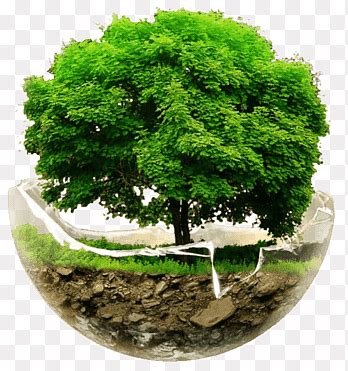 Earth Tree Png Images PNGEgg