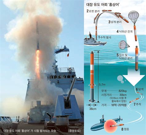 Rokn Retrofits Earlier 3 Kdx Ii With 24 Enlarged Kvls I Cells Showcasing Kvls Ii With Double