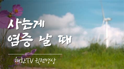 ☯ 하루 1번만 들어라 모든 불행은 사라지고 행복이 즉시 흘러 들어온다 사는게 염증날때 들으면 행복을 부르는 말버릇 명상 행복명상 Youtube