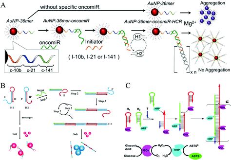 Hybridization Chain Reaction