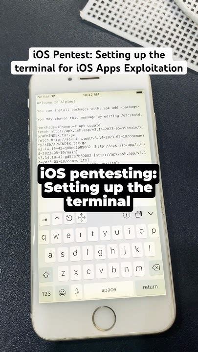 Ios Pentesting Setting Up The Terminal For Ios Apps Exploitation Iossecurity Cybersecurity