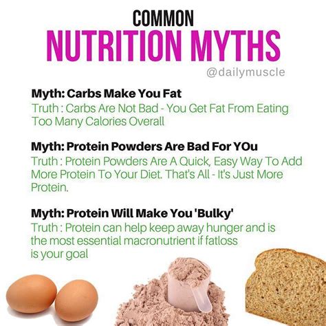 Myths And Facts Common Misconceptions About Nutrition Kinen Consul