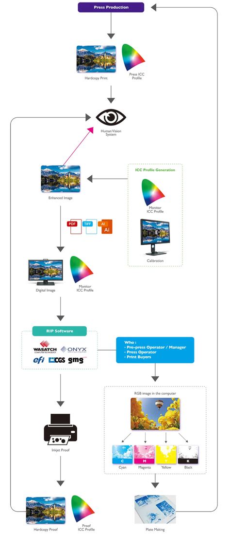 Color Management Workflow To Enhance Color Reproduction Benq Us
