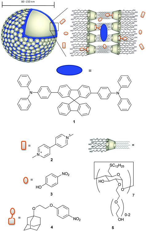 Fluorescence Quenching In β Cyclodextrin Vesicles Membrane Confinement