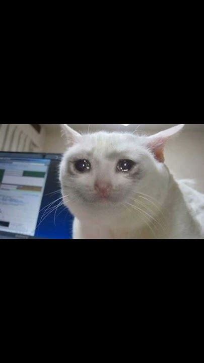 has this ever happened to you 🥺 coding techfuture codingmistakes mistakes ternding youtube