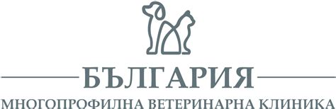 Фрактура на радиус и улна при той породи Причини симптоми и лечение
