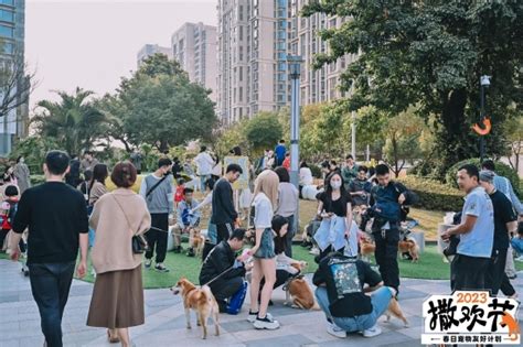 春日携宠撒欢建发湾悦城联动百家品牌打造宠物友好商圈 新浪福建 新浪网