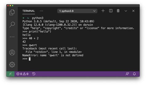 How To Use The Python Terminal