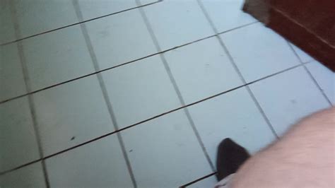 Food For Files ThisVid Com