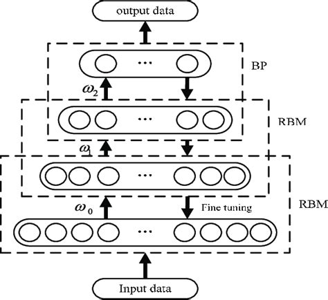 Dbn Network Structure Download Scientific Diagram