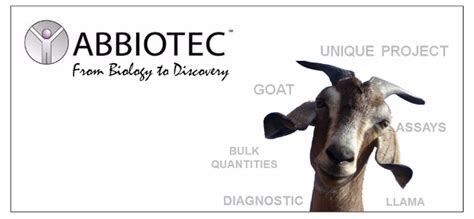 Goat Polyclonal Antibody Production Services Abbiotec