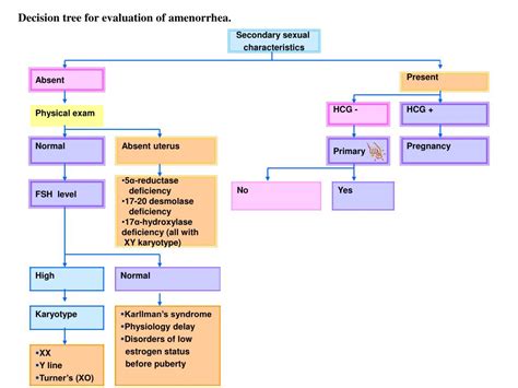 PPT Chapter Amenorrhea PowerPoint Presentation Free Download ID