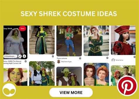 Female Shrek Diy Costume Guide