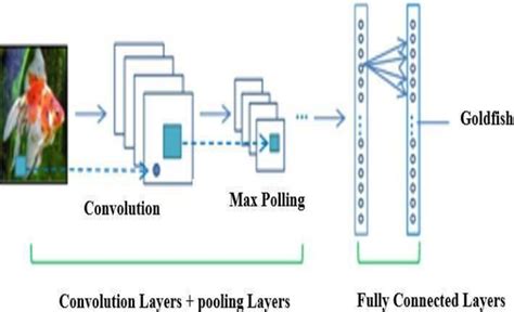 Figure 4 From A Review On Image Based Species Recognition Using Machine Learning Semantic Scholar