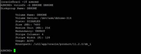 Asm Acfs Filesystem Practiced And Explained All About Database Administration Tips And Tricks