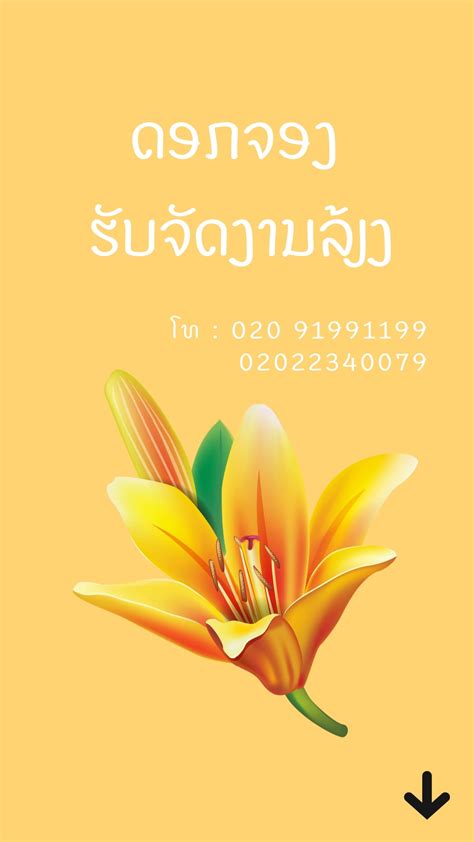 ຮ້ານອາຫານດອກຈອງຈັດງານລ້ຽງ ຮ້ານອາຫານດອກຈອງຈັດງານລ້ຽງ