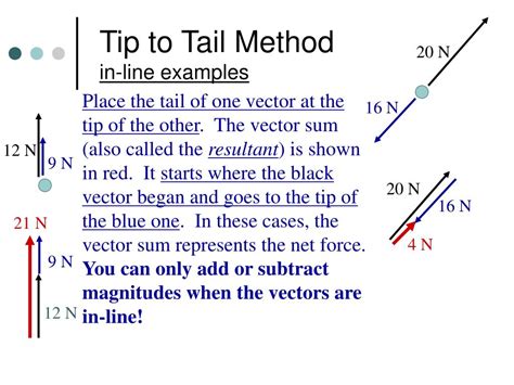 Tail Tip Method At Rashad Casey Blog