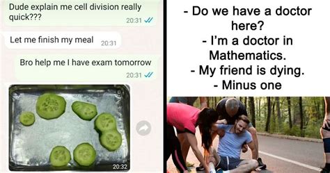 35 Scientifically Proven Memes For Those With An Intellectual Sense Of