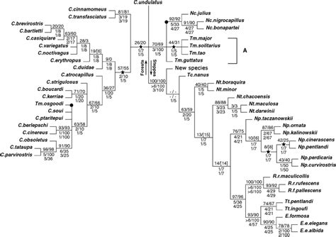 Consensus Obtained Under Sankoff Parsimony Analysis Of The Matrix In
