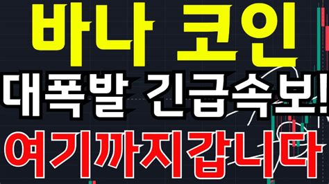 🔴 바나코인 전망 🎯대폭발 긴급속보🎯여기까지갑니다🔥 Youtube