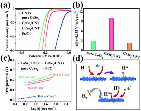 A Polarization Curve B Cathode Current Density At The Same Voltage