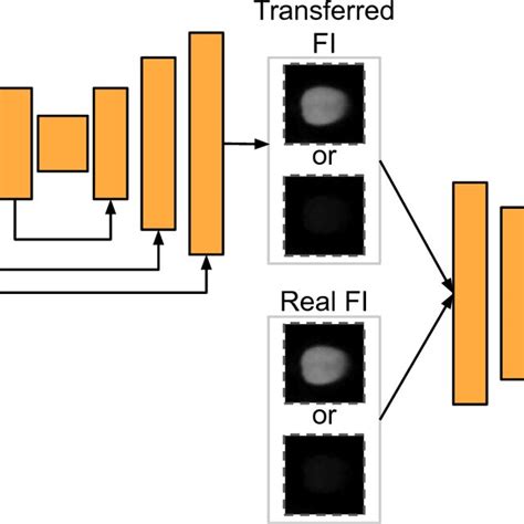 Shows The Pix2pix Architecture The Generative Adversarial Network Download Scientific Diagram