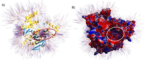 Virtual Reality With Unitymol — Apbs 3 4 1 Documentation