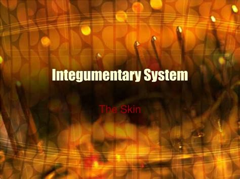 PPT Exploring The Integumentary System Facts About The Skin PowerPoint Presentation ID