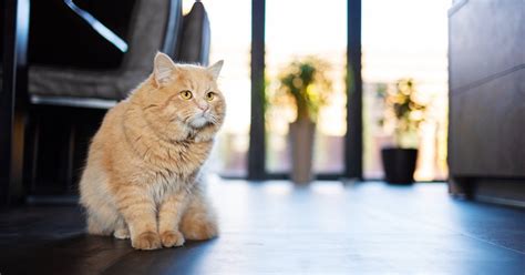 Oļegs Andrejevs Dzīvoklis Kā Investīcija Kā Ar To Labi Nopelnīt