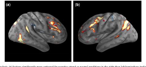 Figure 1 From Emotion Regulation Ability Varies In Relation To Intrinsic Functional Brain