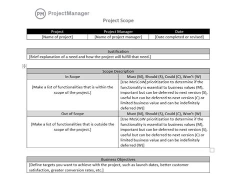 What Is Project Execution Templates Tools Best Practices ProjectManager