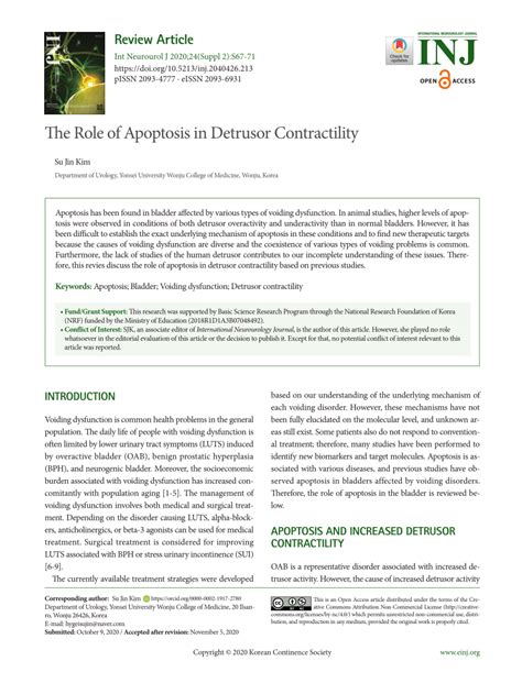 Pdf The Role Of Apoptosis In Detrusor Contractility