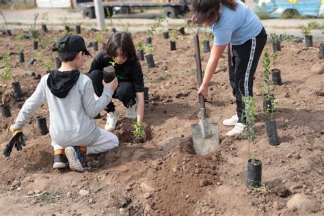 Restauración Ecológica Conecta