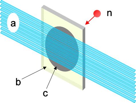 Development Of A Thermal Neutron Detector Based On Scintillating Fibers