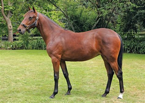 Lot 5 Underscore Art Major Under The Odds