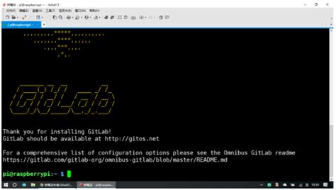 树莓派安装Gitlab打造私人Git服务 鸿蒙开发者社区 51CTO COM
