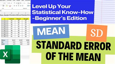 Sem In Excel Master The Formula With These Simple Steps Transtutorblog