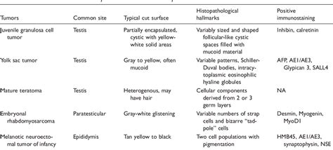 Table 1 From Melanotic Neuroectodermal Tumor Of Infancy Presenting With Fast Growing Scrotal