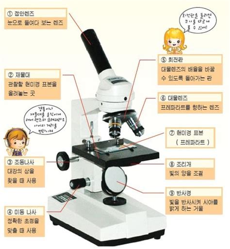현미경의 구조와 사용법에 대해 공부합니다 네이버 블로그