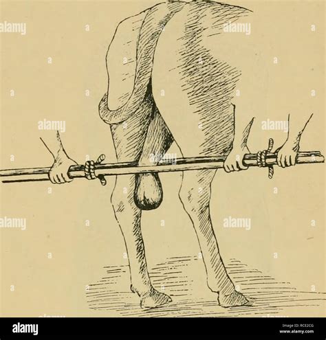 Diseases Of Cattle Sheep Goats And Swine Veterinary Medicine
