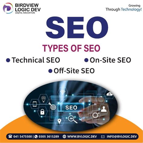Birdview Logic Dev On Linkedin Seoexpertise Digitalvisibility