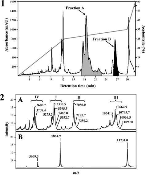 Final Purification Of The Protein Peak Clusters By Rp Hplc 1 Download Scientific Diagram