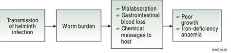 Initial Conceptual Framework Download Scientific Diagram